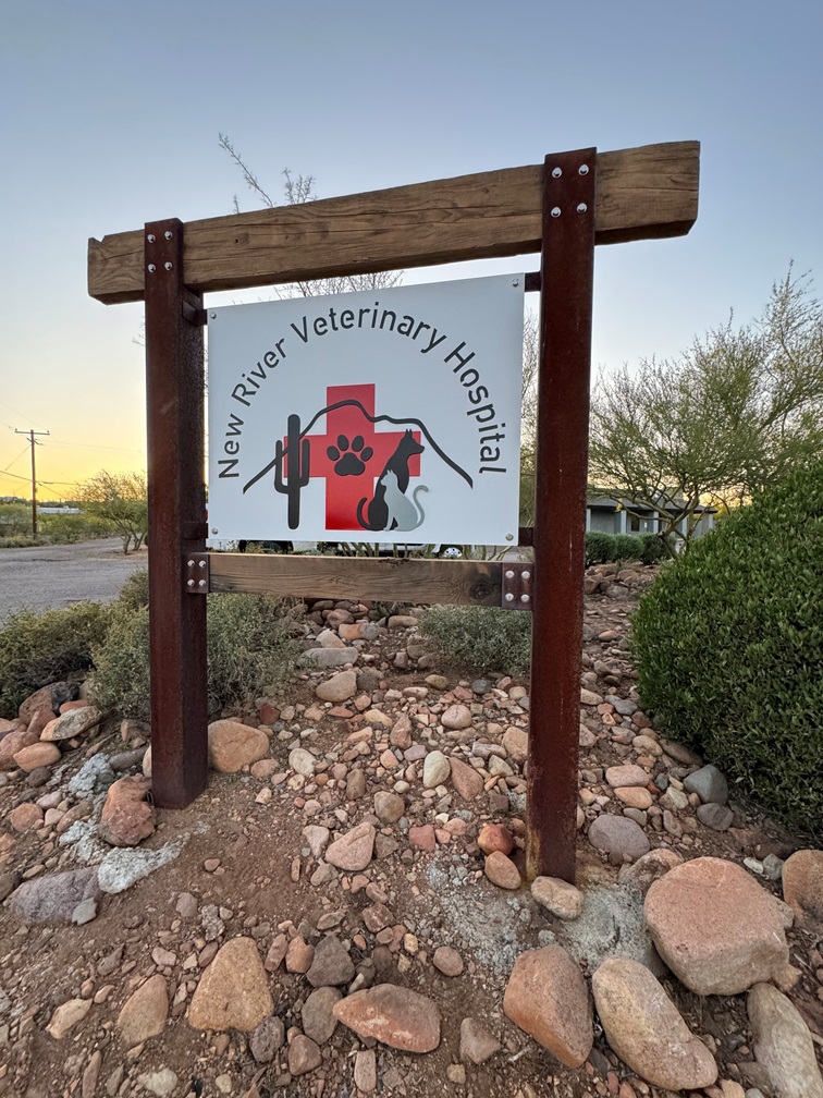 Mata Metal Works - Starting a Custom Metal Art Fabrication Business ...